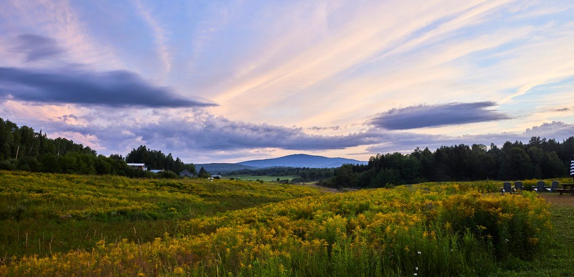 Miels du Québec par saison : Été, automne, hiver, printemps | Miels d ...