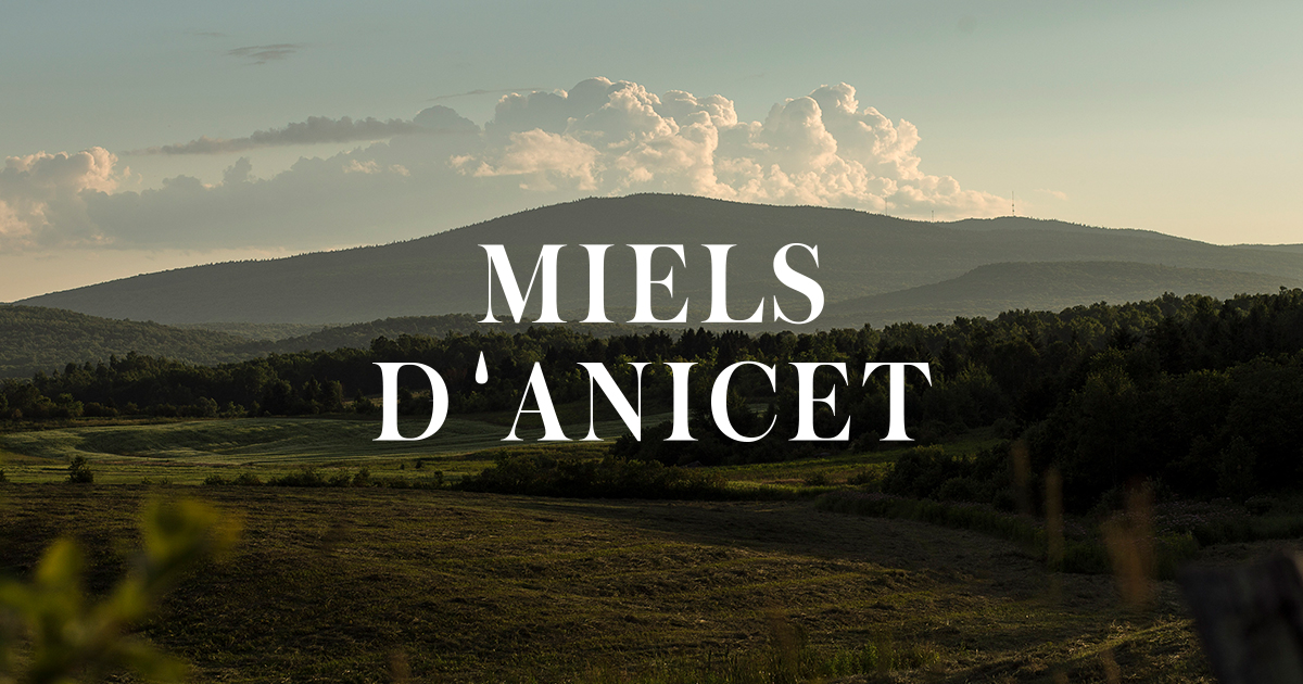 Promotions Miels d'Anicet - Offres spéciales | Miels d'Anicet