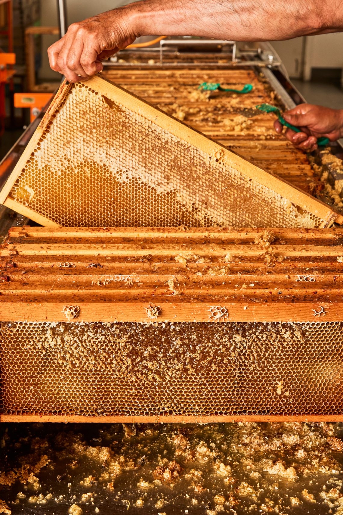 Récolte de miel et fabrication artisanale | Miels d'Anicet